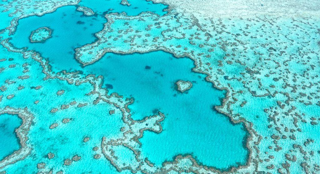 Mill Reef's Taverna: You can still generate alpha in this part of the ...